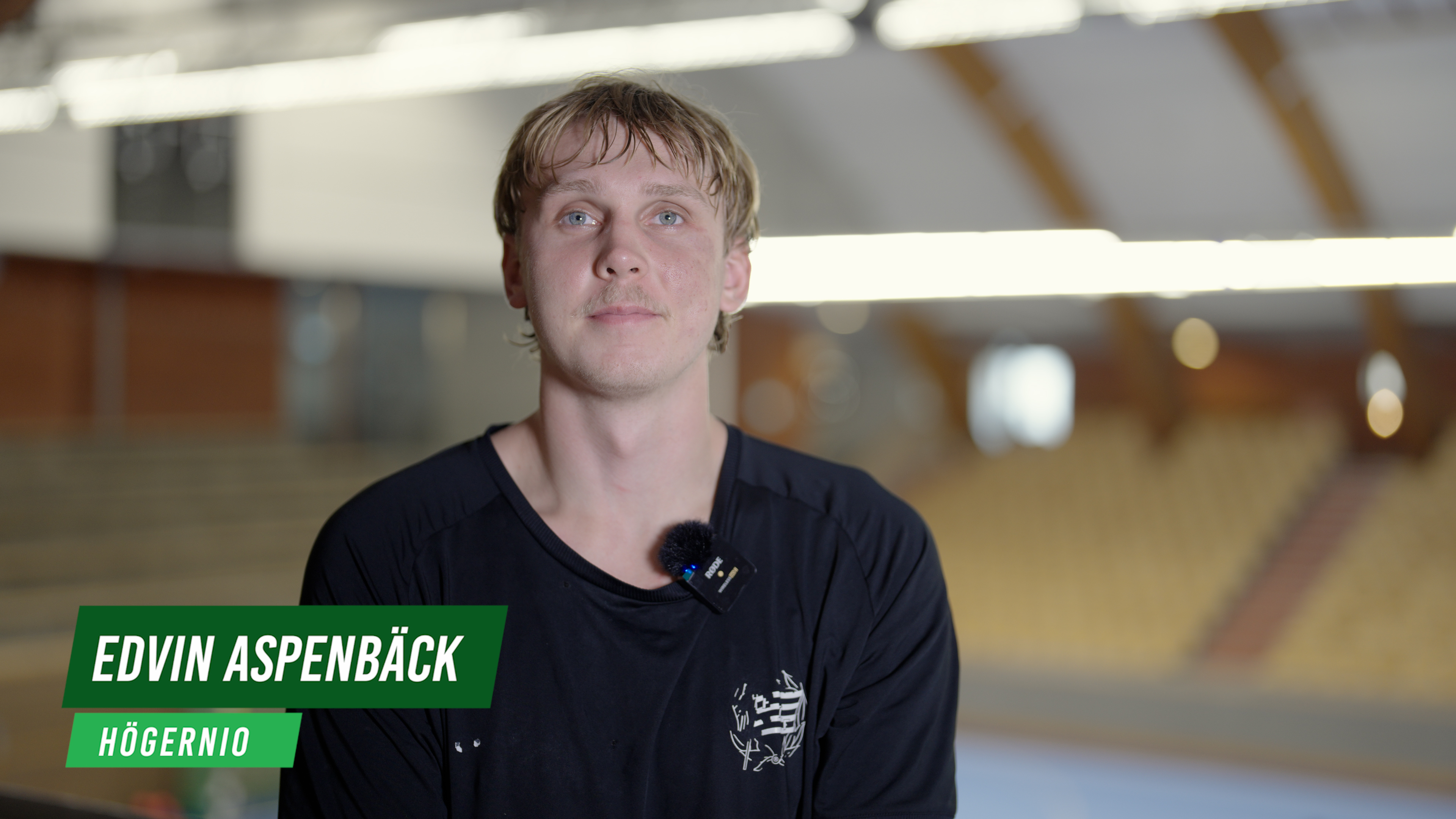 Swedish Handball League - Hammarby IF